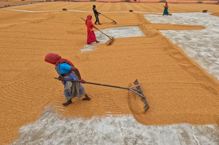 What is photojournalism, and why does the world need it?