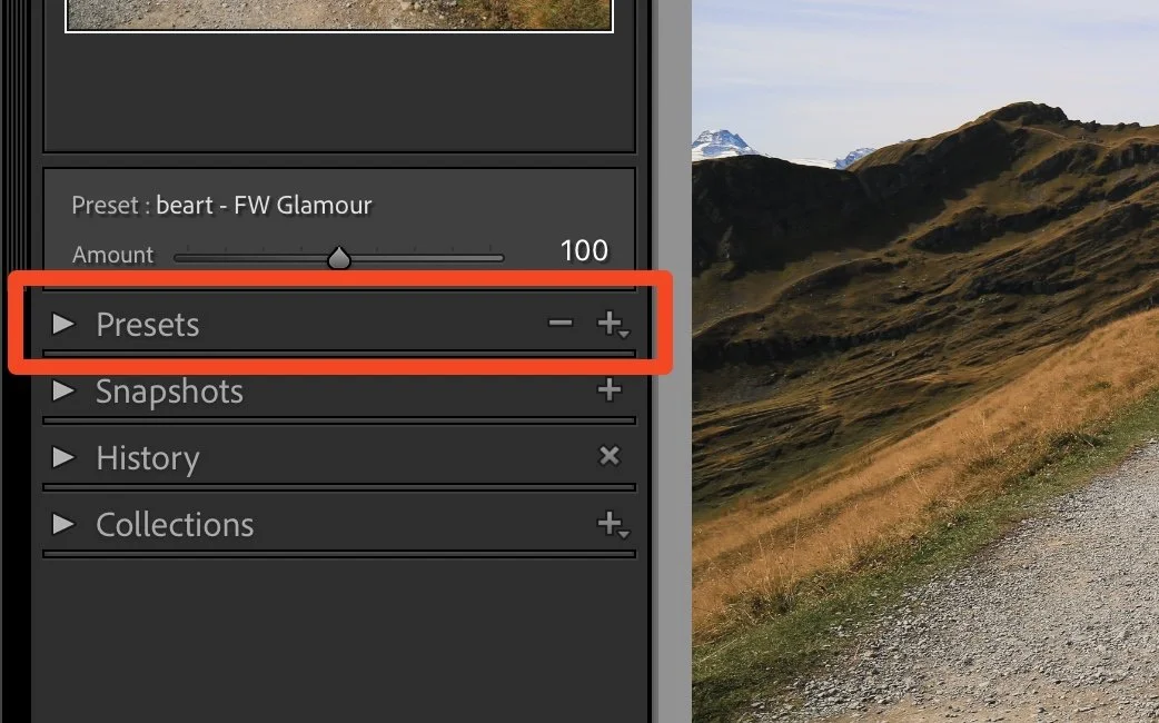 Free vs. Paid Presets for Lightroom: Making the Right Choice for Your ...