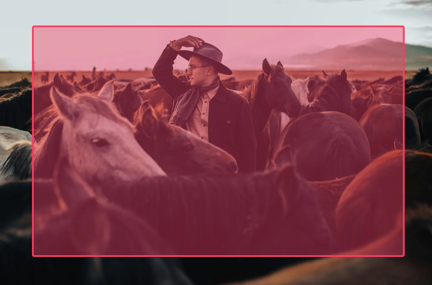 A Full Overview of Metering and Metering Methods In Camera