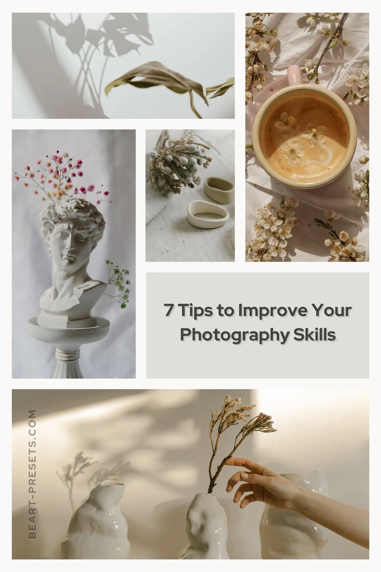 7 Tips to Improve Your Photography Skills
