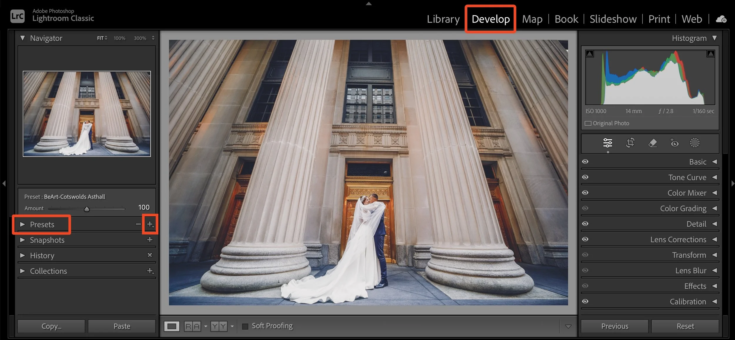 Mastering Highlights, Shadows, and Midtones: Photo Tonal Range for Dummies