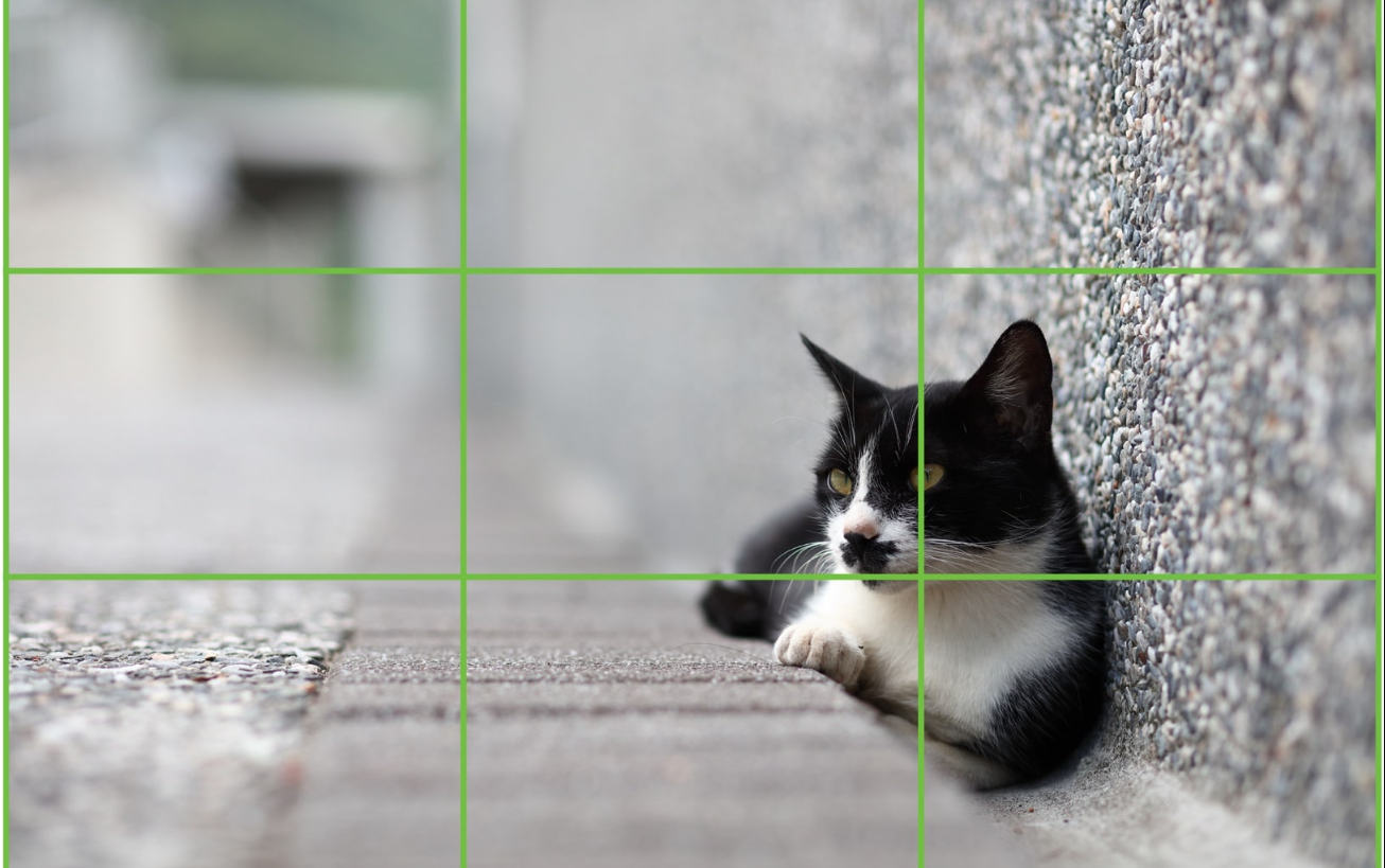 How to Start a Career in Photography