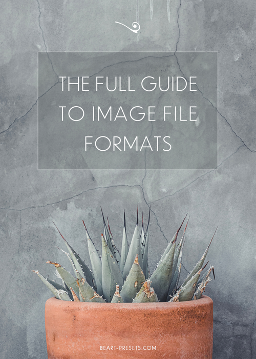 the full guide to Image File Formats