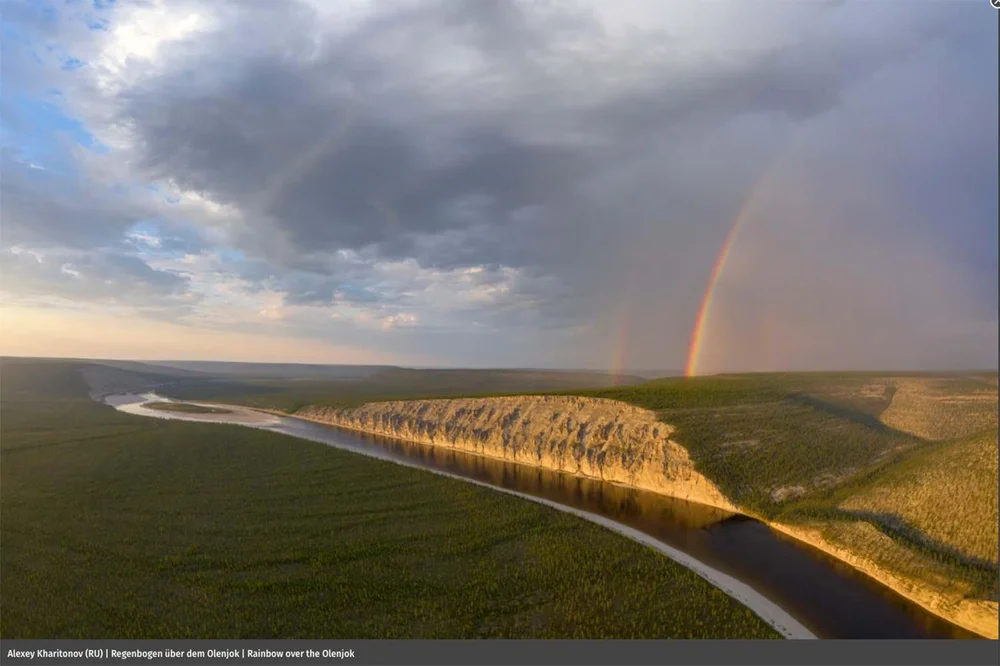 European Wildlife Photographer of the Year Winners Announced!