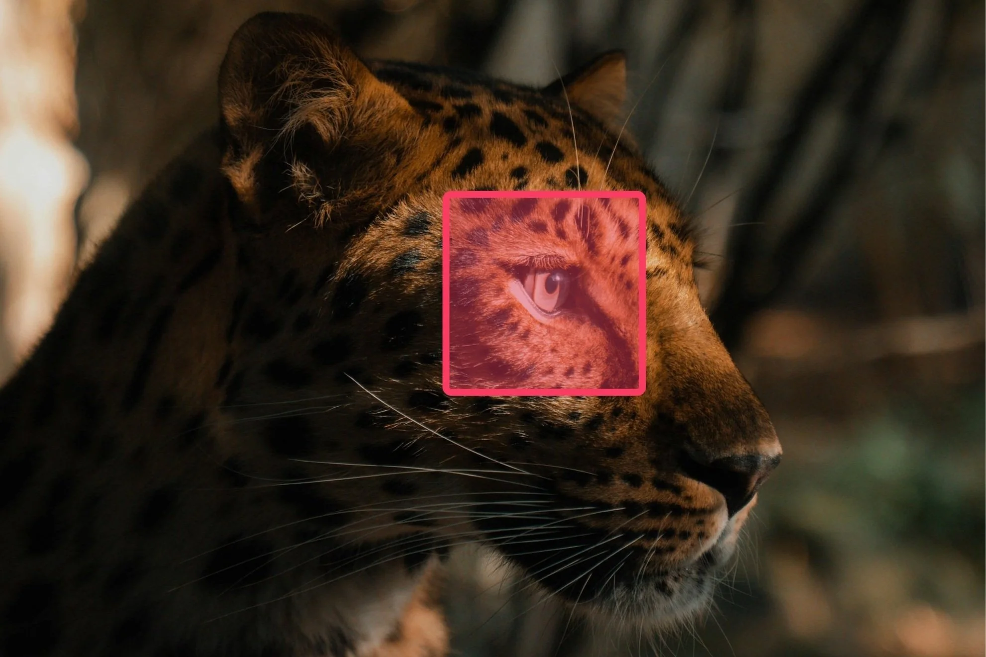 A Full Overview of Metering and Metering Methods In Camera