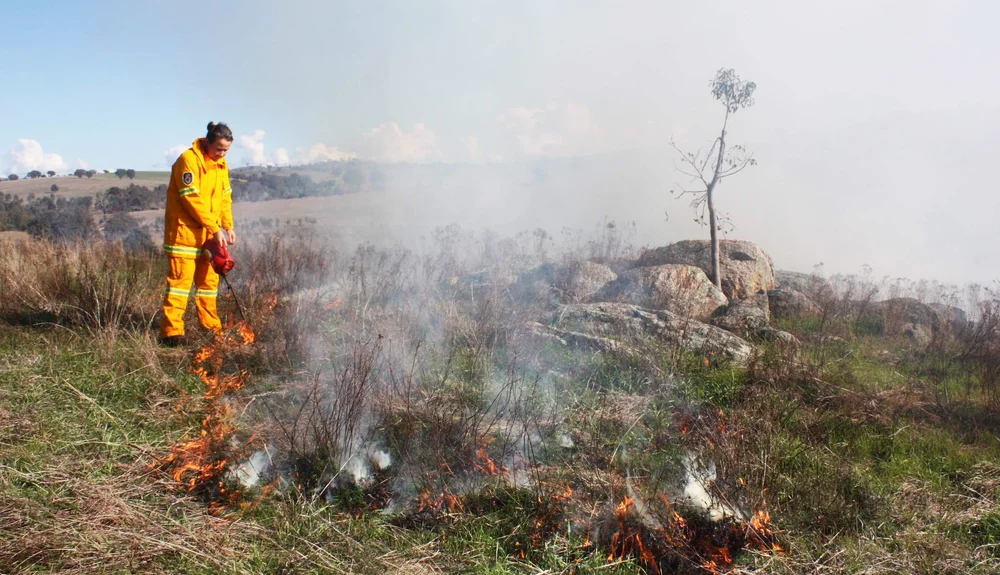 Traditional Burning — the CORRIDOR project