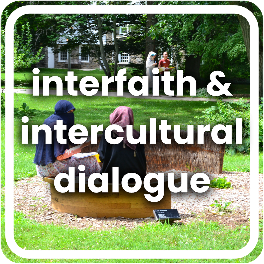 Mission/Vision — Dialogue Institute