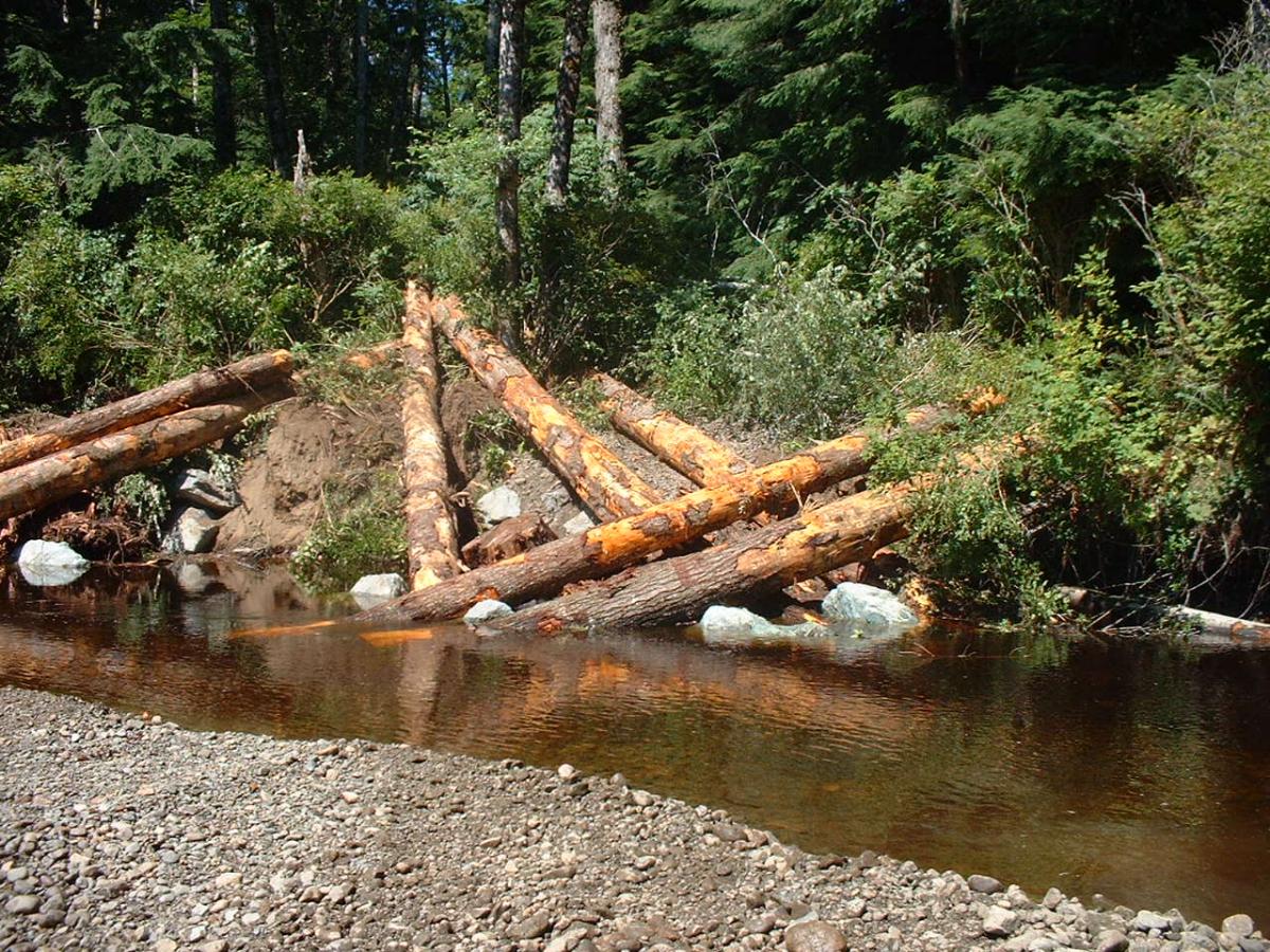 Fish Habitat Restoration - Off-Channel Techniques — NRTG