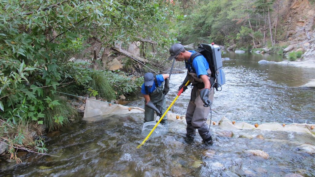 Fish Habitat Restoration Certificate Program — NRTG