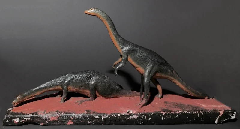 Plaster Dinosaurs and Old Books — STORAGE ROOM No. 2