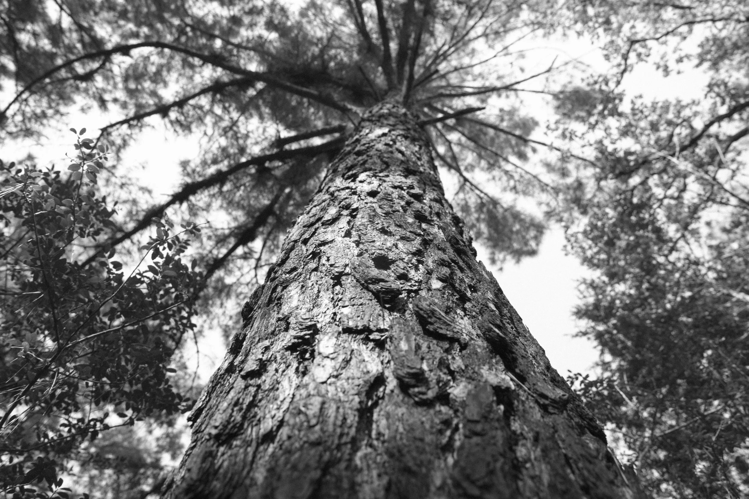 Pines & Prairies Land TrustHome