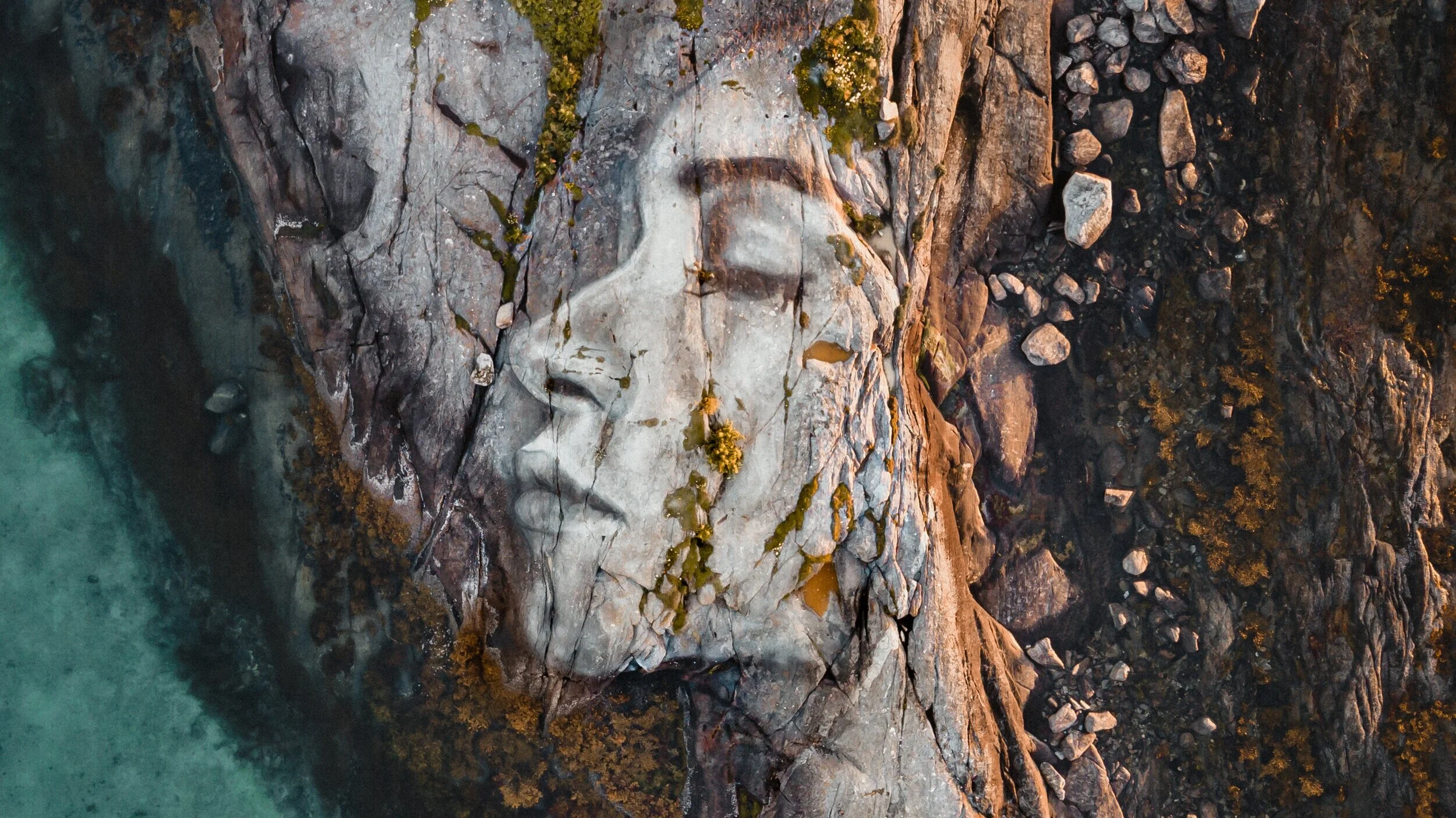 Portfolio — David Popa