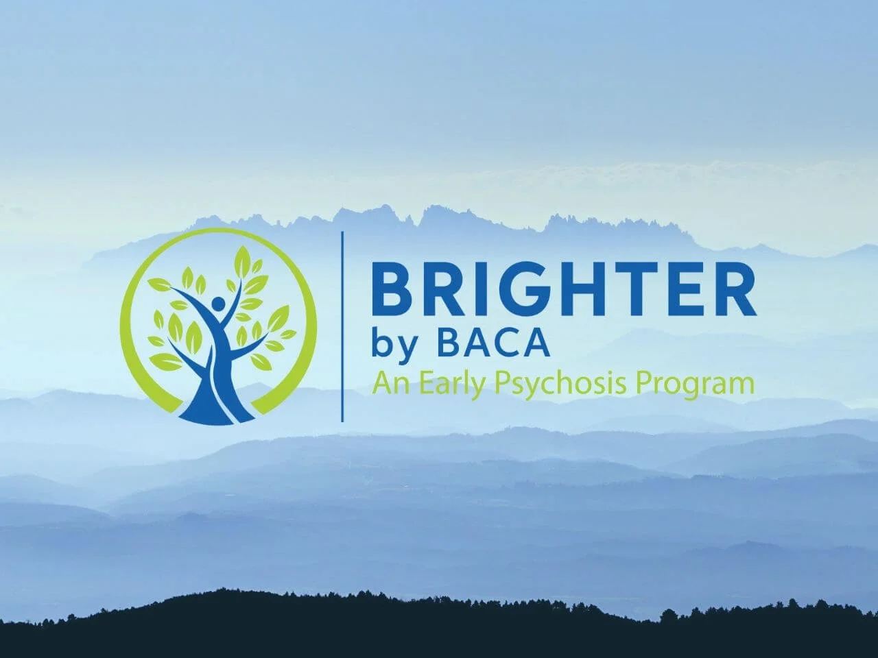 Bay Area Clinical Associates: Leaders in Mental Healthcare