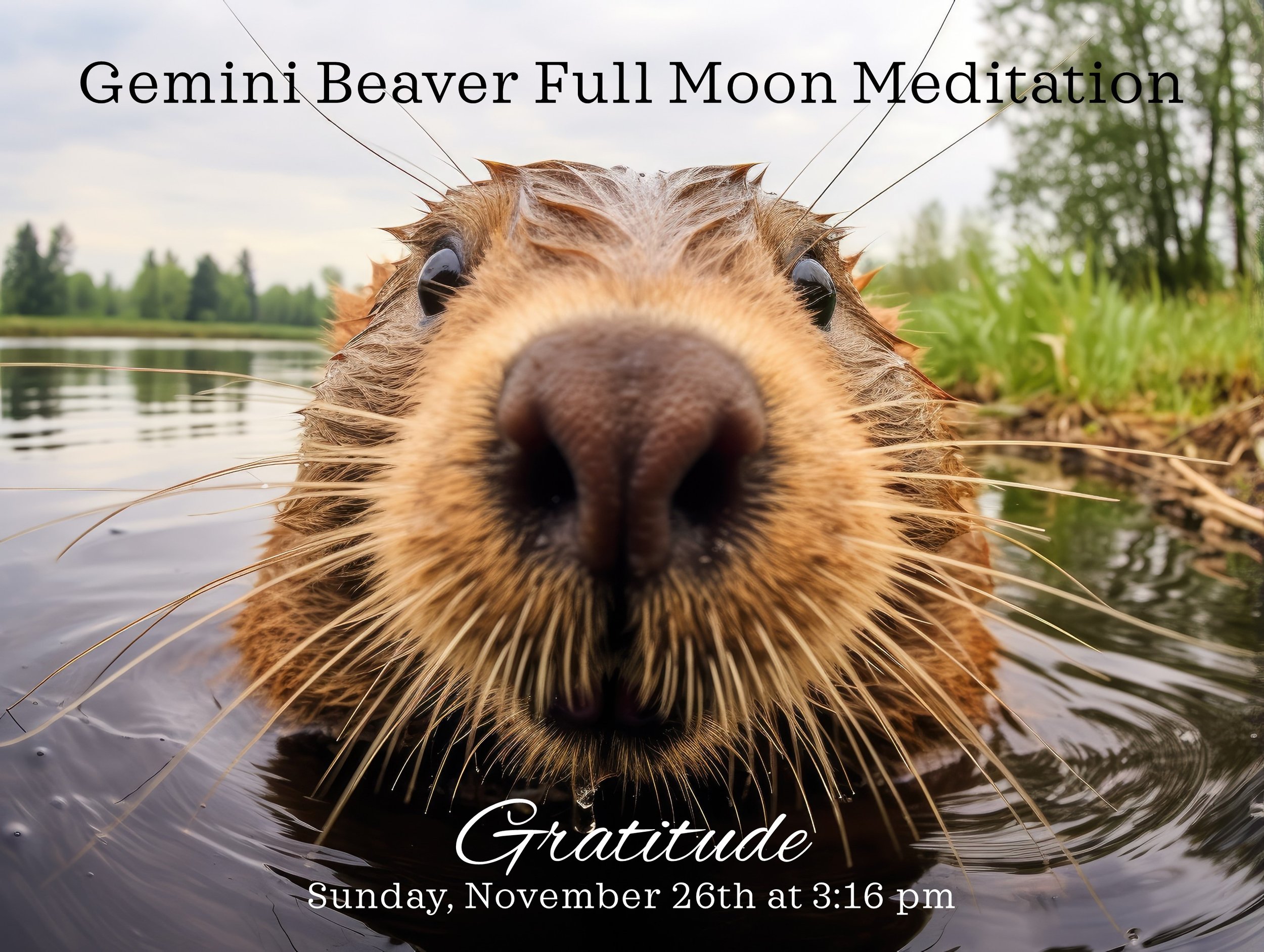 Gemini Beaver Full Moon Meditation — Wabi Sabi