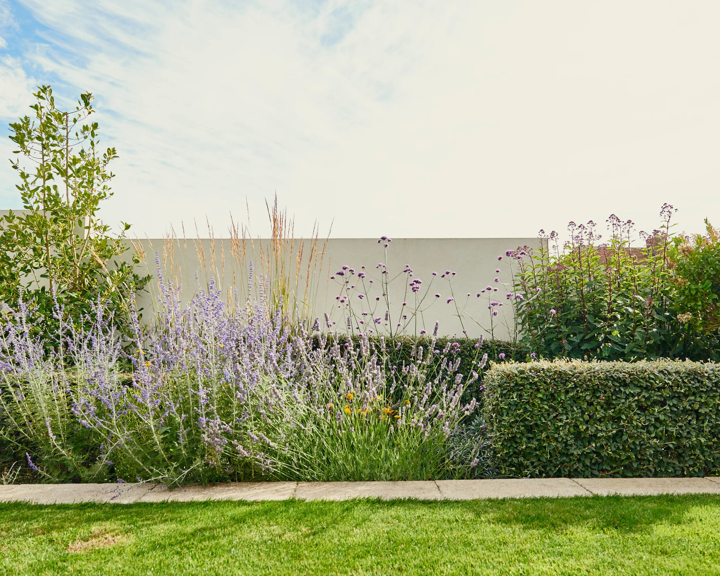 Modern seaside planting and contemporary garden design — Temple Garden ...