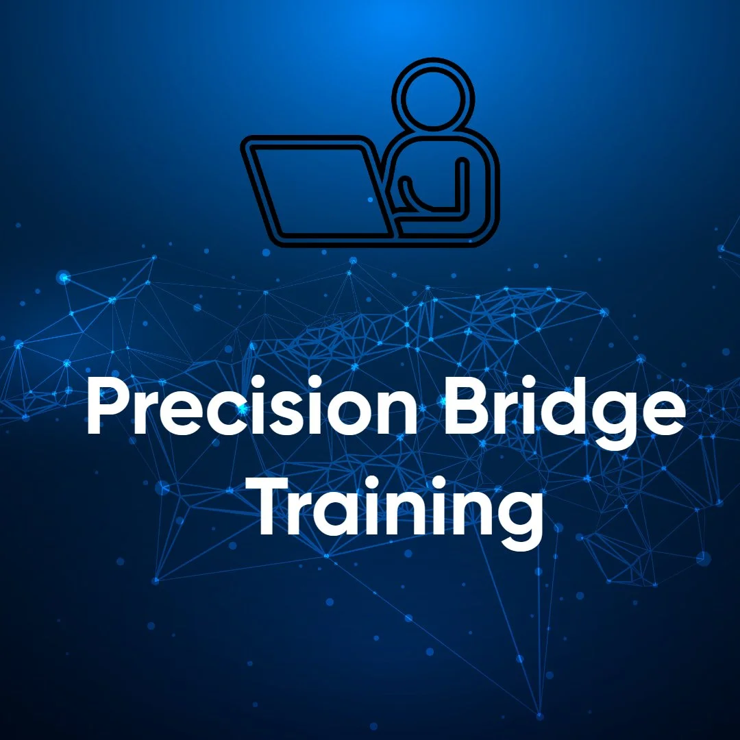 Precision Bridge Training — Precision Bridge