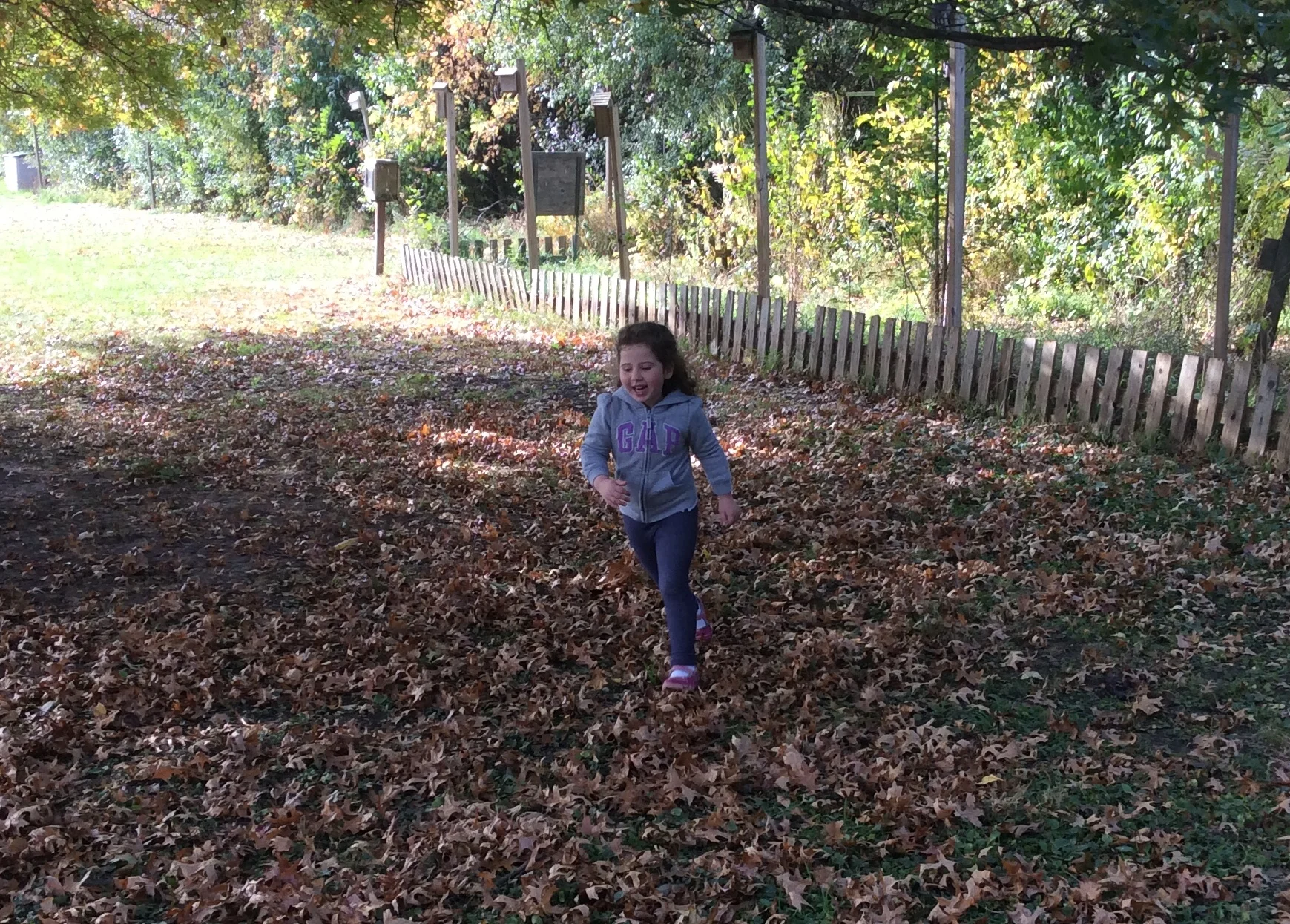 75th Street Gallery — Peter Pan Day Schools