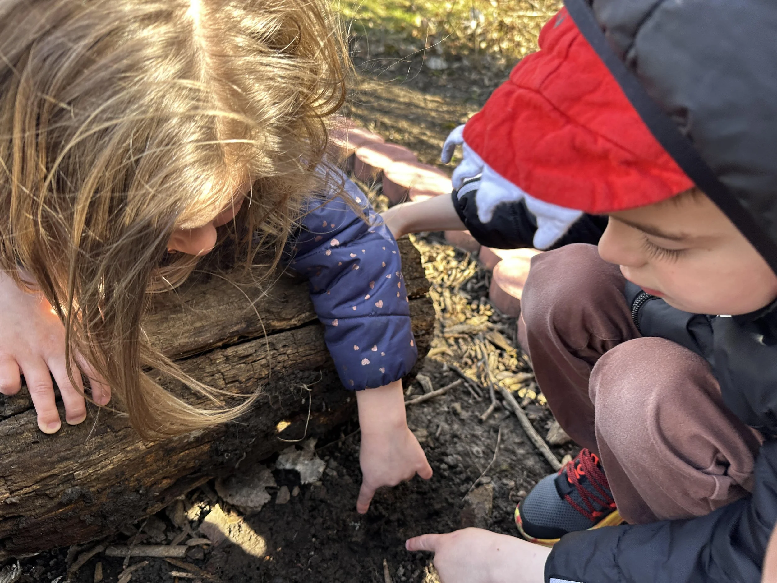 Peter Pan Day Schools