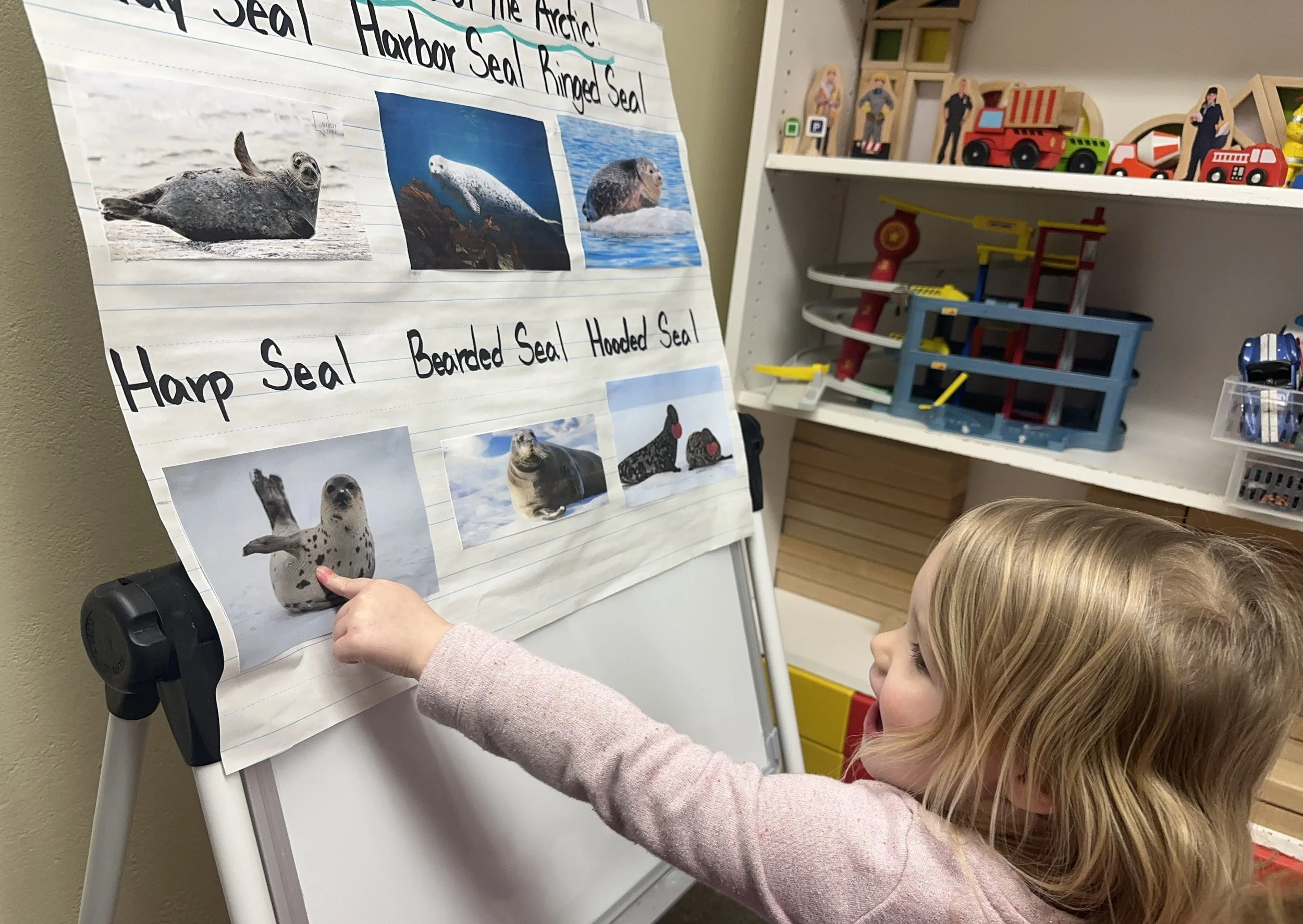 We're learning about the 'Coolest' Mammals in the World! — Peter Pan ...