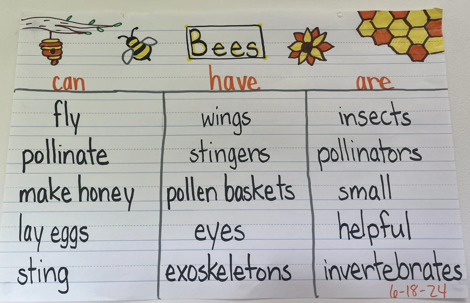 Peter Pan Day Schools