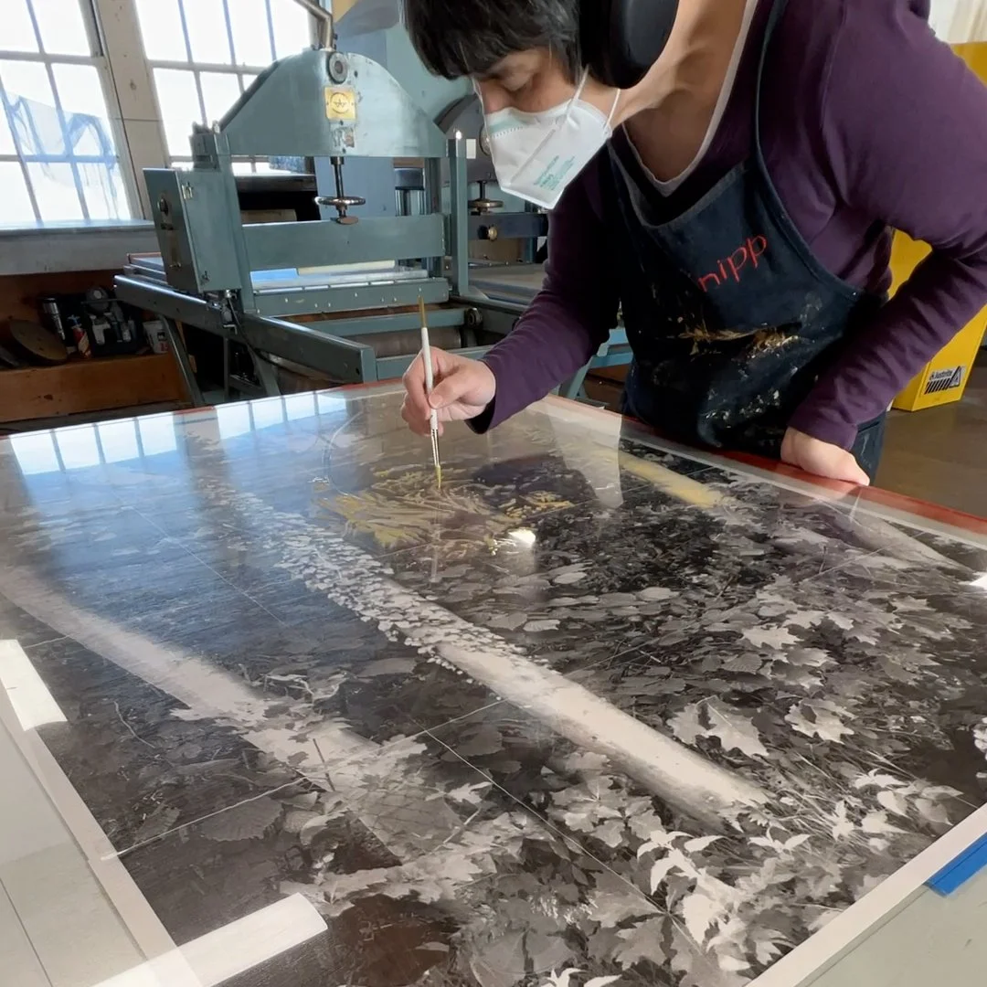 Virtual Artist Talk with Kathy Aoki | Exhibitions, Education, Art ...