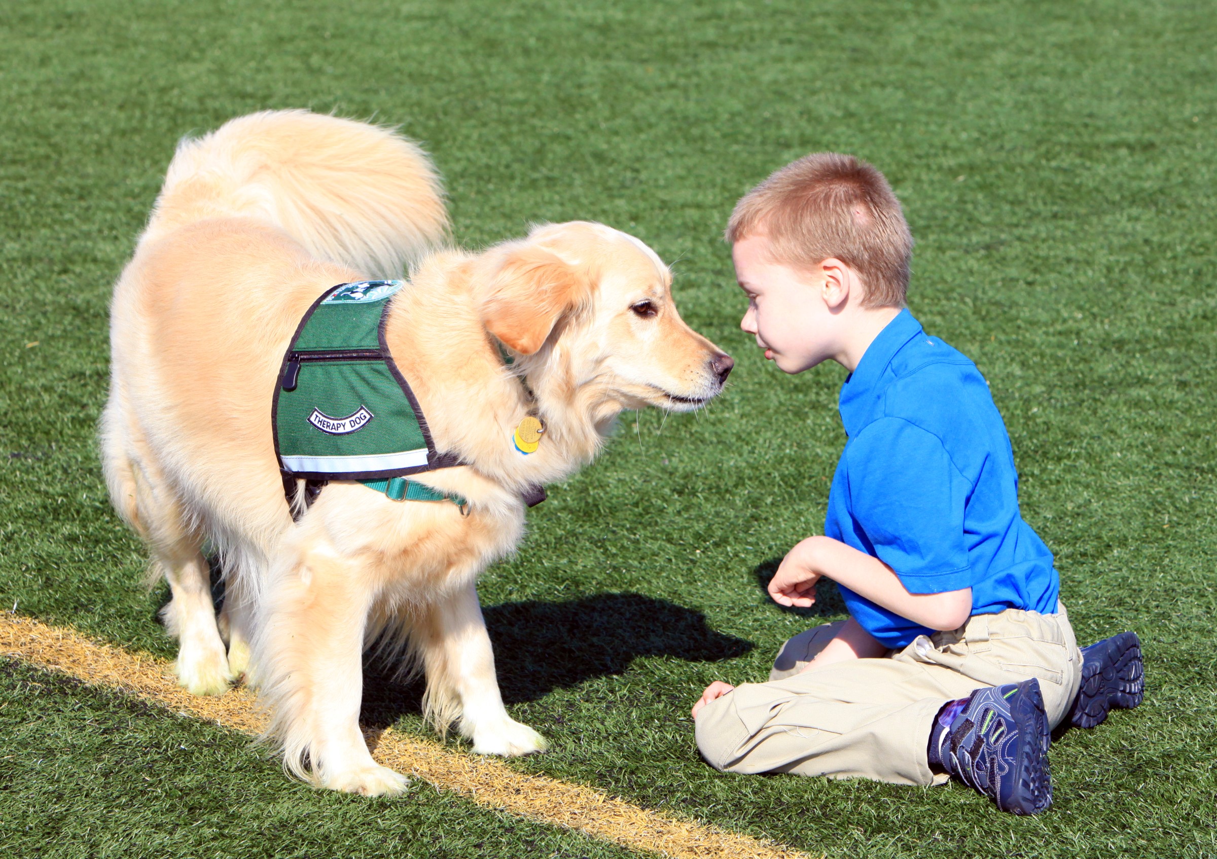 Donate — Summit Assistance Dogs