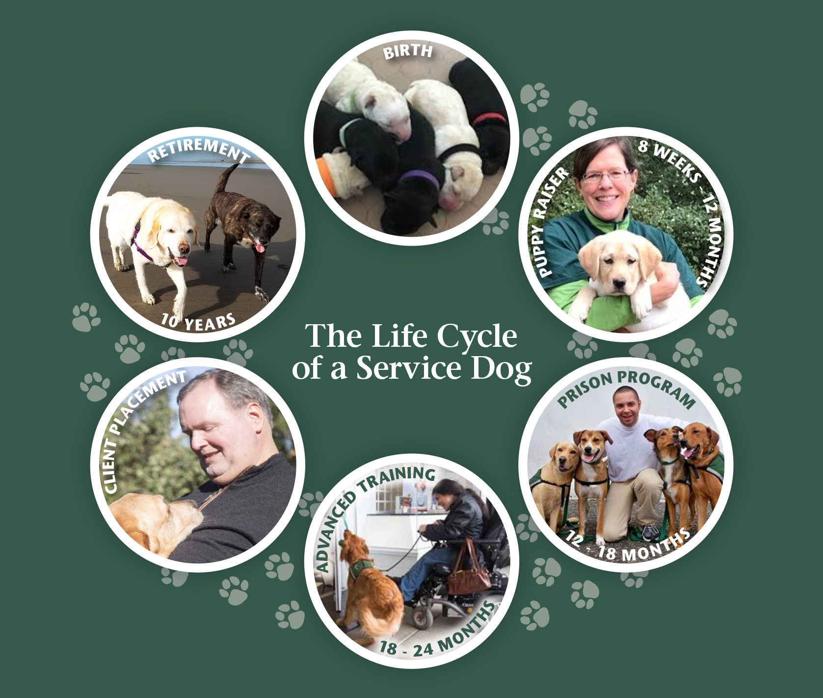 Frequent Questions (2025) — Summit Assistance Dogs