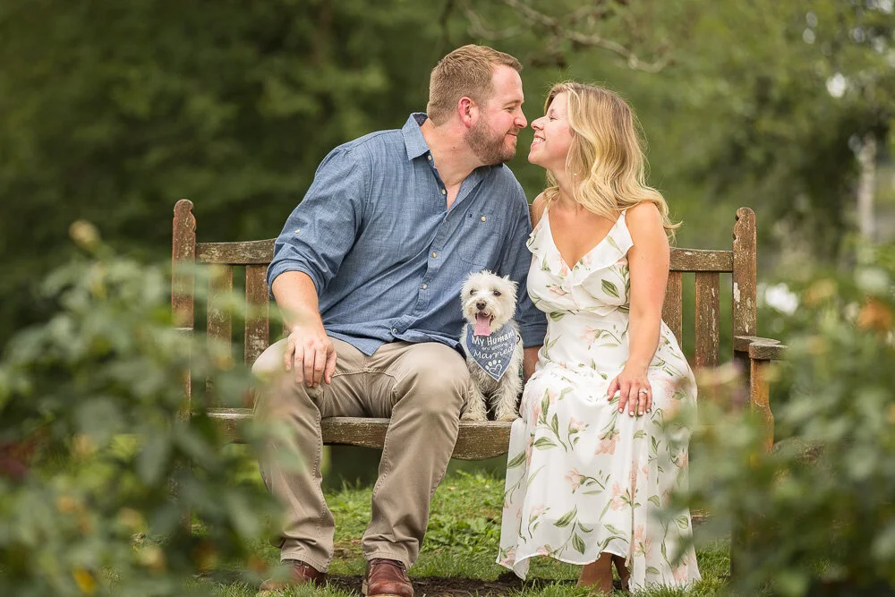 Ashley + Gordy, Allentown Rose Garden and The Shelby Engagement ...