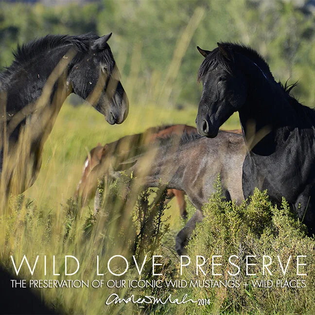 Blog — Wild Love Preserve