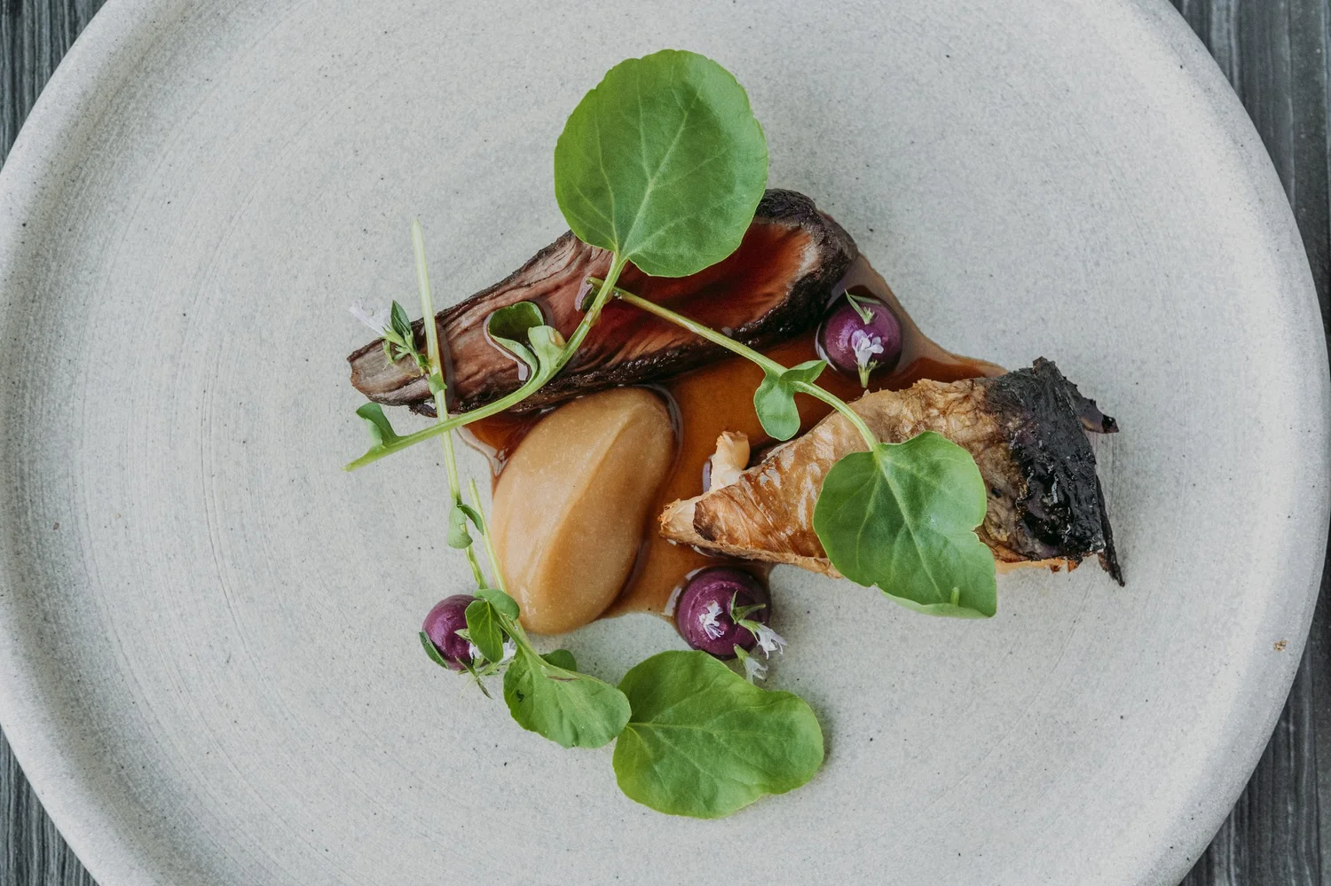 Table X | Tasting Menu in Salt Lake City