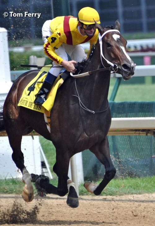 The Horse — Tom Ferry