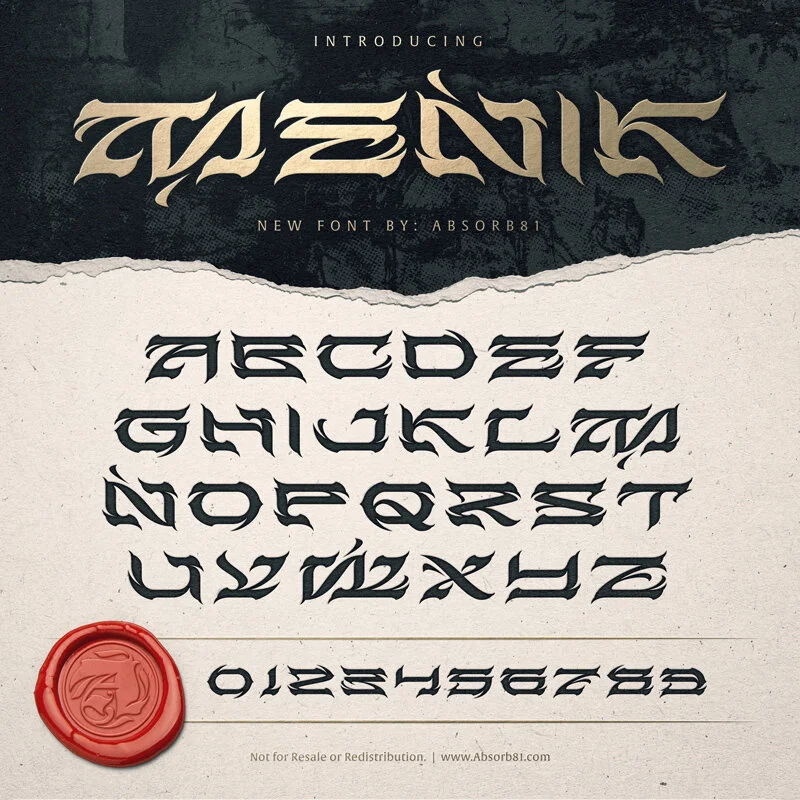 FONTS — Absorb81 - Illustration / Design / Typography