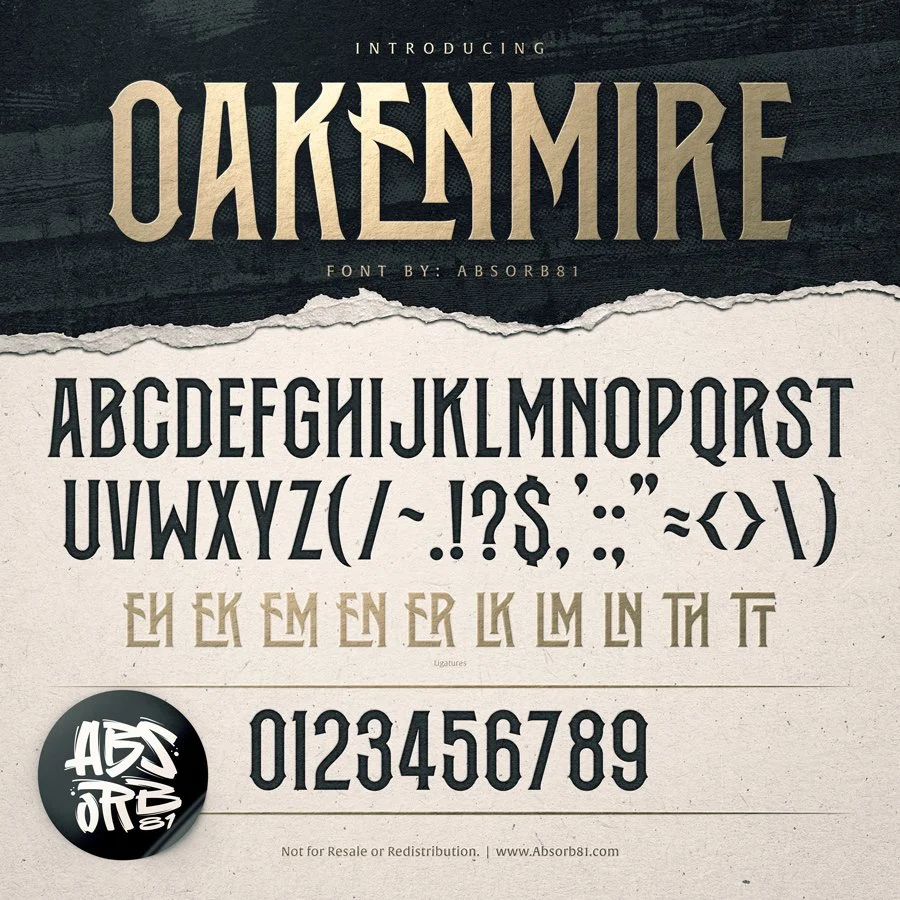 FONTS — Absorb81 - Illustration / Design / Typography