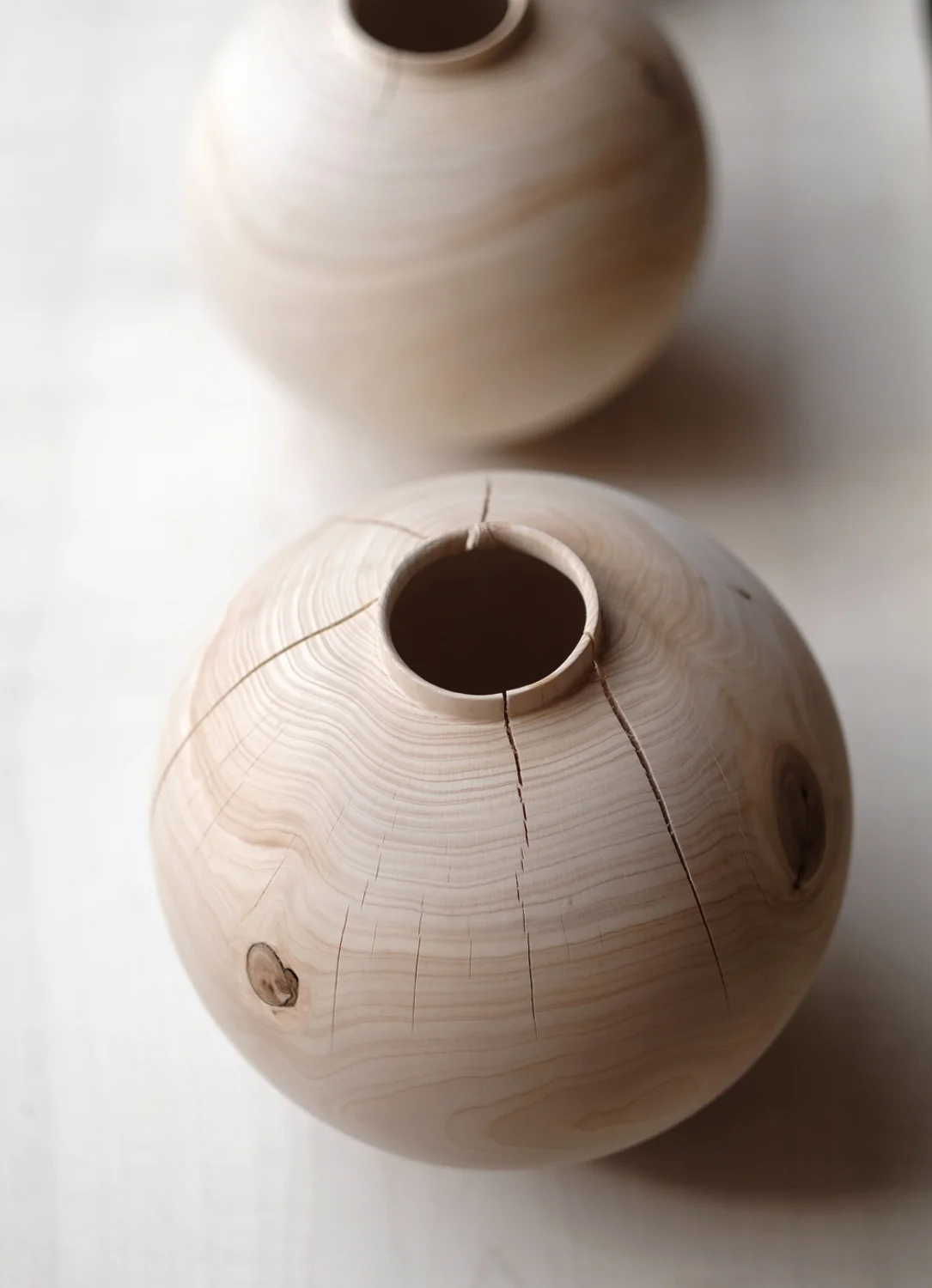 Exhibitions and Installations — FOREST + FOUND