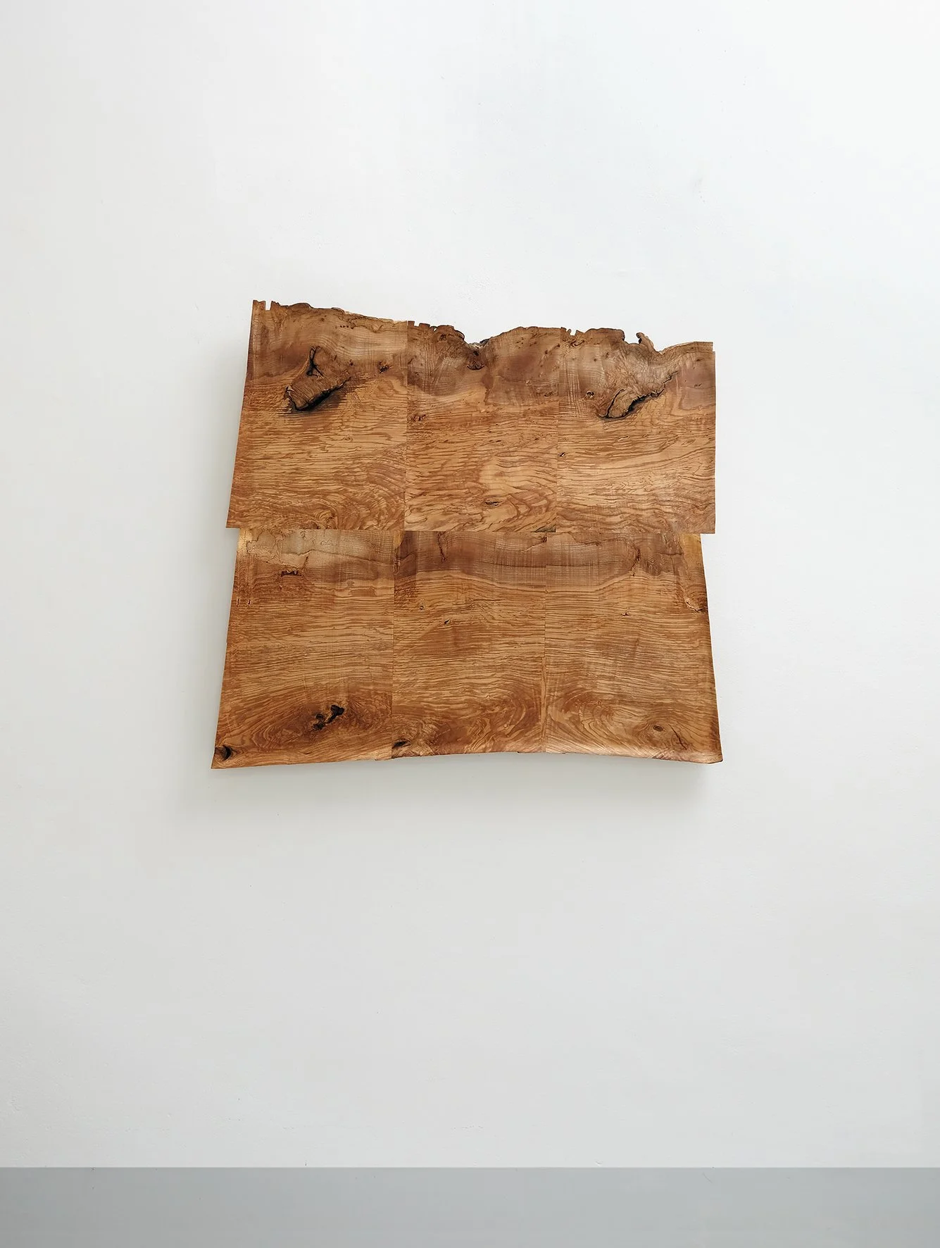 Max Bainbridge — FOREST + FOUND