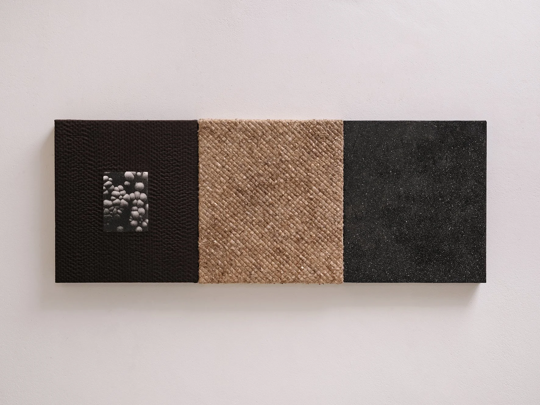 Abigail Booth — FOREST + FOUND