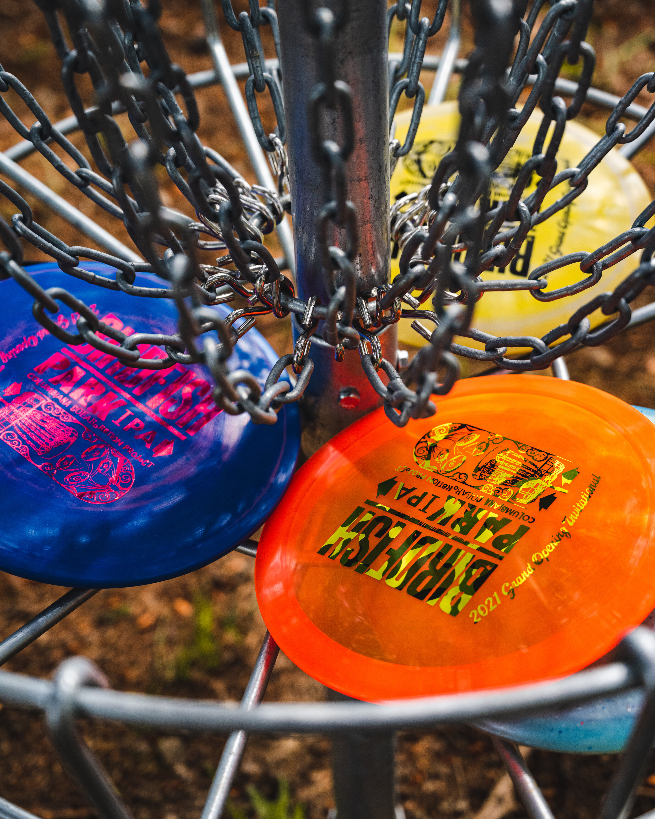Birdfish Disc Golf — BIRDFISH