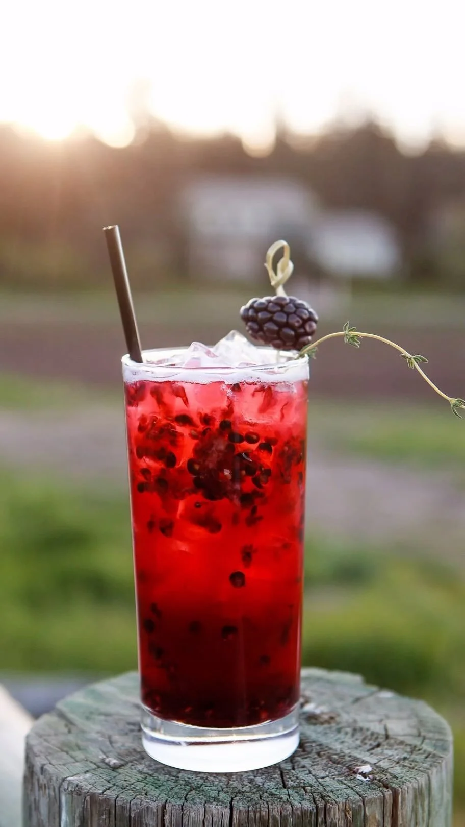 Birdfish Live Music Schedule — BIRDFISH