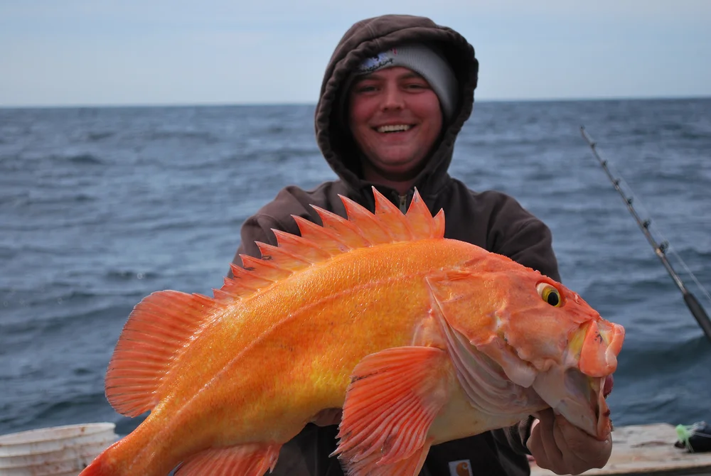Take Action - Fishing in Pelican Alaska.