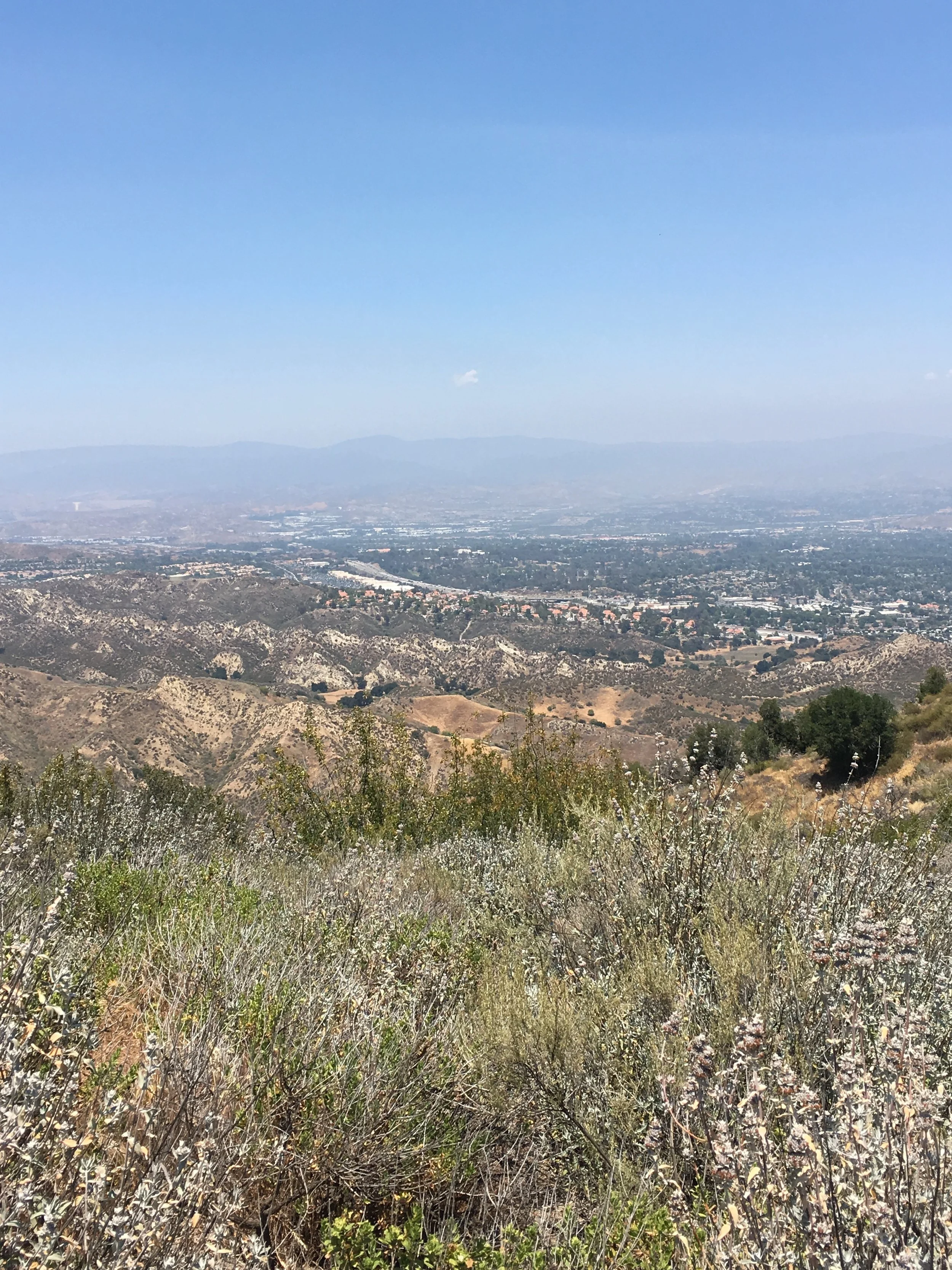 Santa Clarita Half Day - Towsley Canyon Loop Trail 2 Ways (Hike or ...