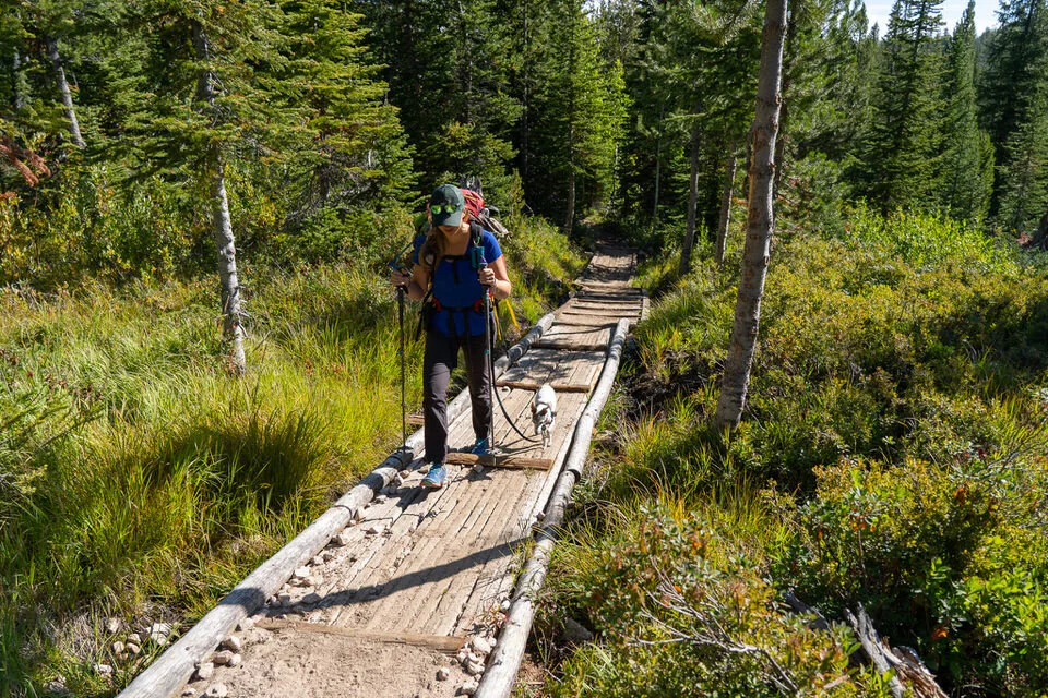 The Ultimate Guide to Idaho’s Alice Lake Hike & Backpacking the Alice ...
