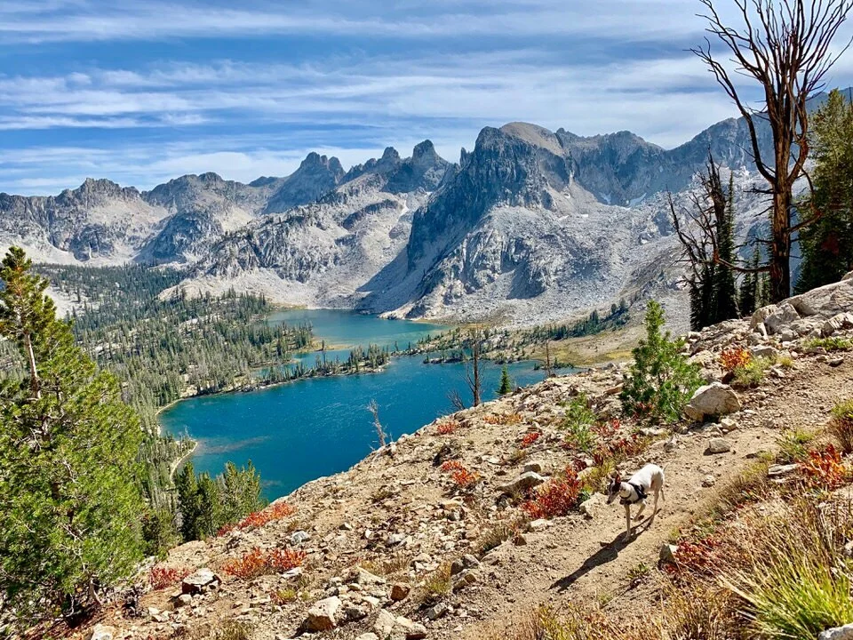 The Ultimate Guide to Idaho’s Alice Lake Hike & Backpacking the Alice ...