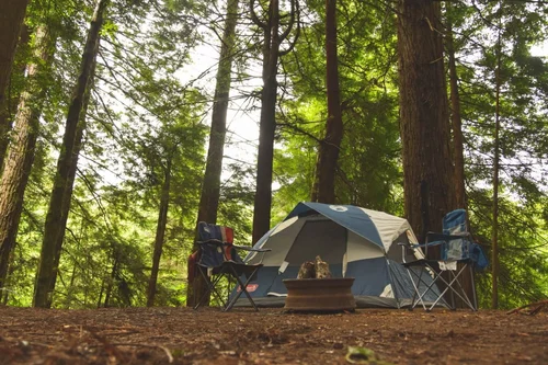 The Ultimate Guide to Free Camping in the US – What It Is, Where to ...