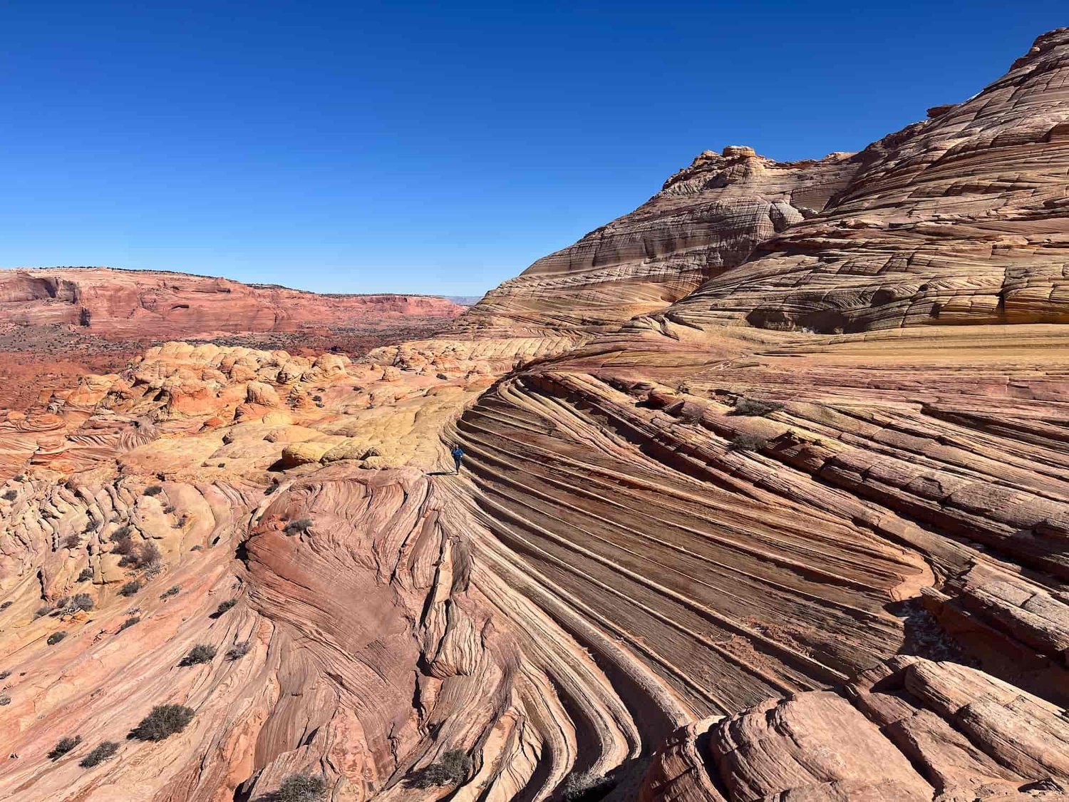 The Ultimate Guide to Hiking The Wave Arizona (Plus Getting The Wave ...