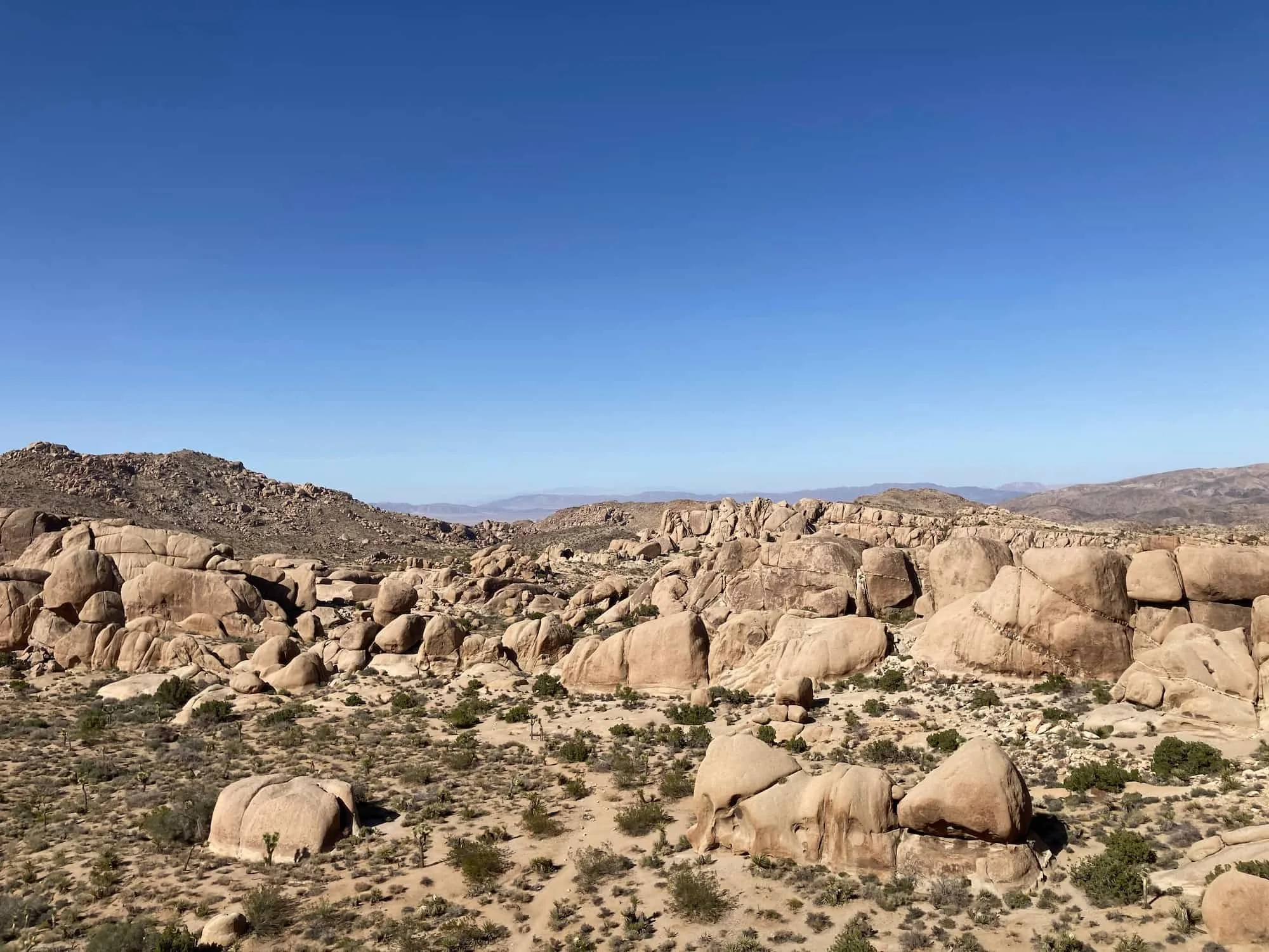 15 Incredible Joshua Tree Hikes to Explore the Desert — She Dreams Of ...