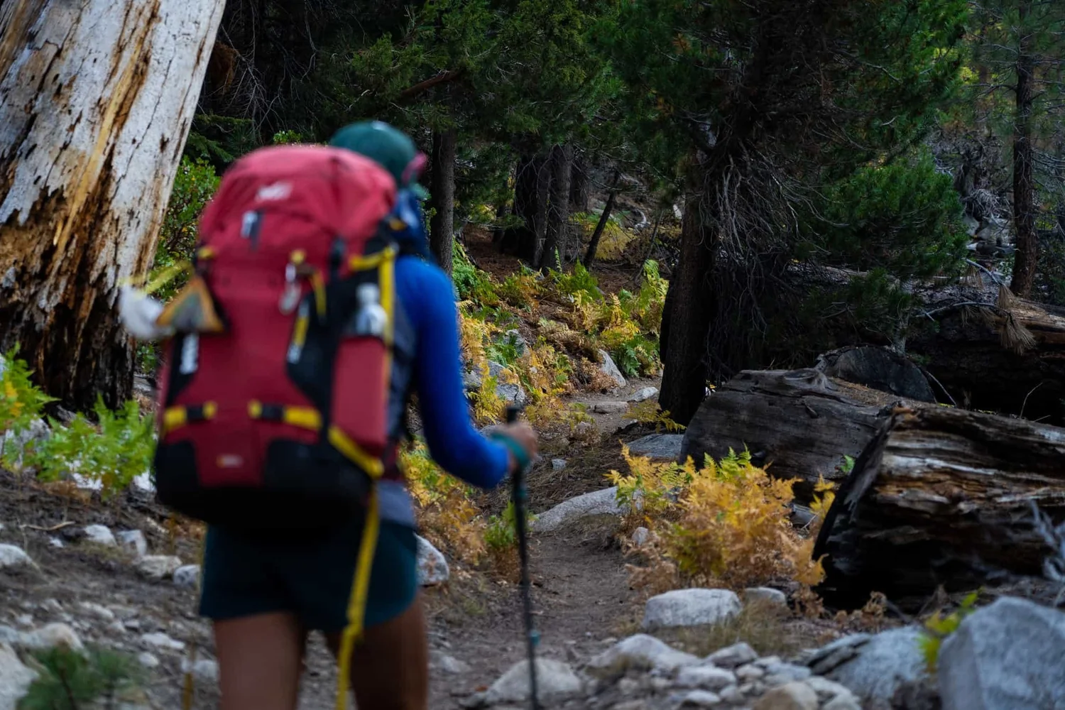 7 Reasons Why You Should Learn Wilderness First Aid — She Dreams Of Alpine