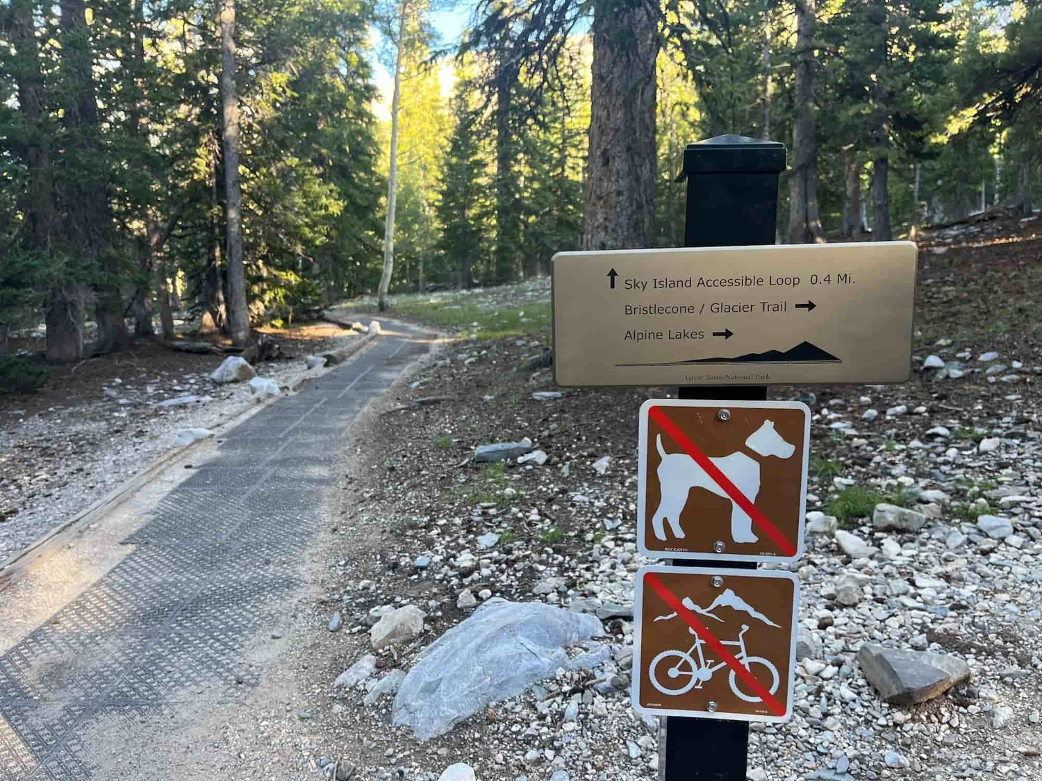 The 13 Best Great Basin National Park Hikes — She Dreams Of Alpine