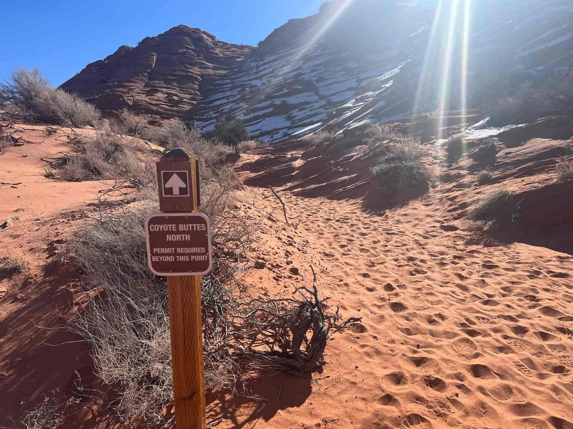 The Ultimate Guide to Hiking The Wave Arizona (Plus Getting The Wave ...