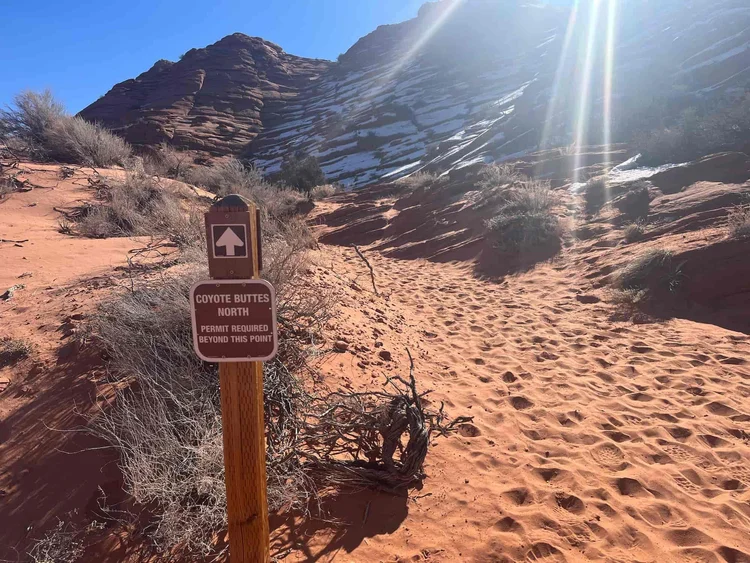 The Ultimate Guide to Hiking The Wave Arizona (Plus Getting The Wave ...