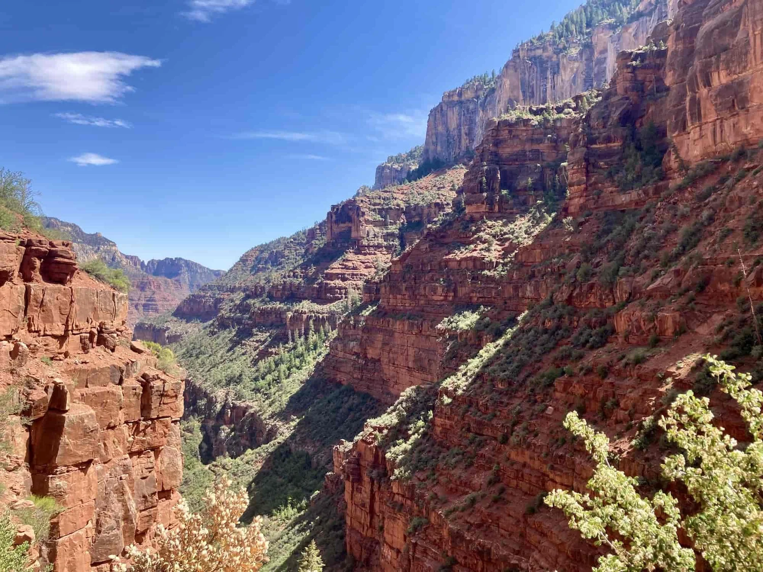 The Ultimate Guide to the Epic Grand Canyon Rim-to-Rim Hike — She ...